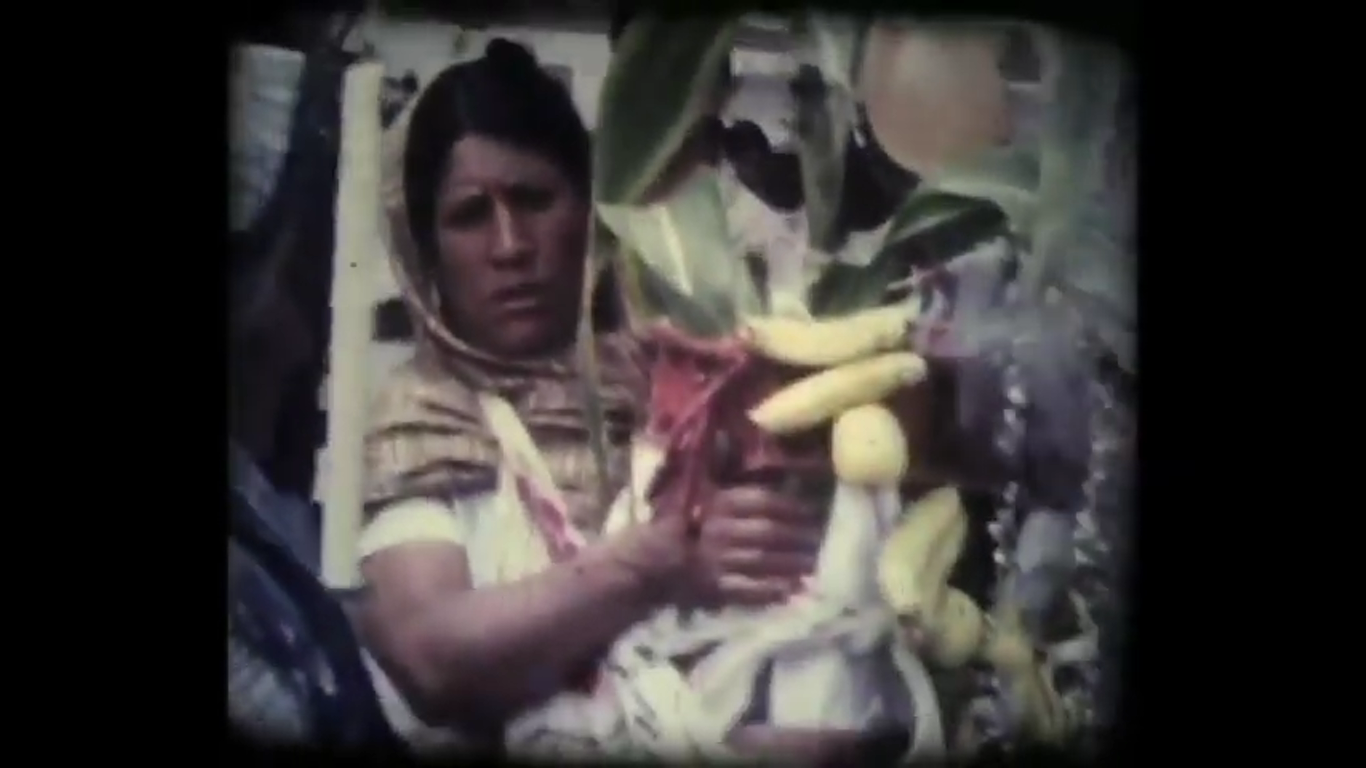 El Corpus de Temascalcingo